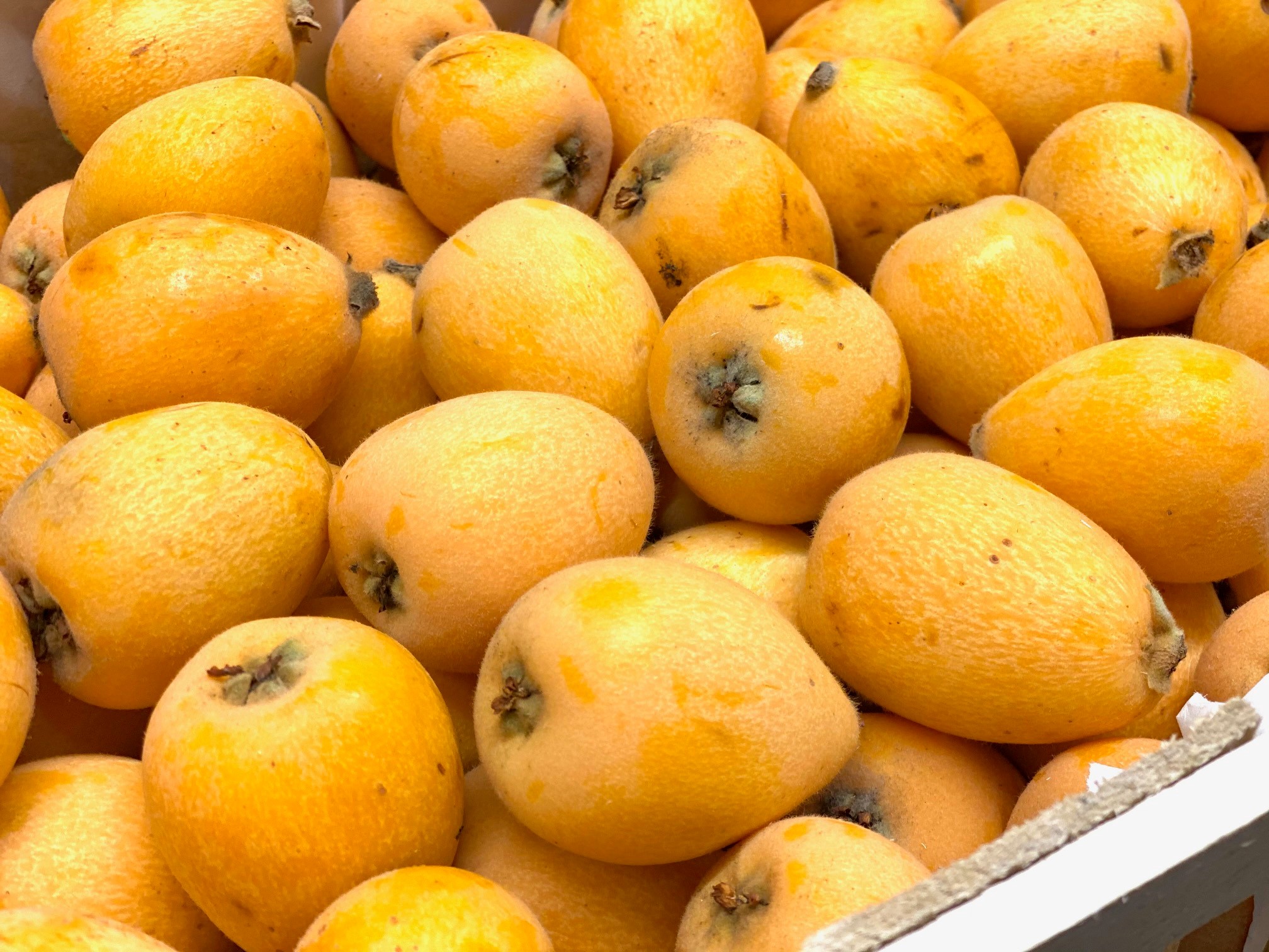 Marktbericht vom 24. Februar 2021 - MARINELLO + CO AG