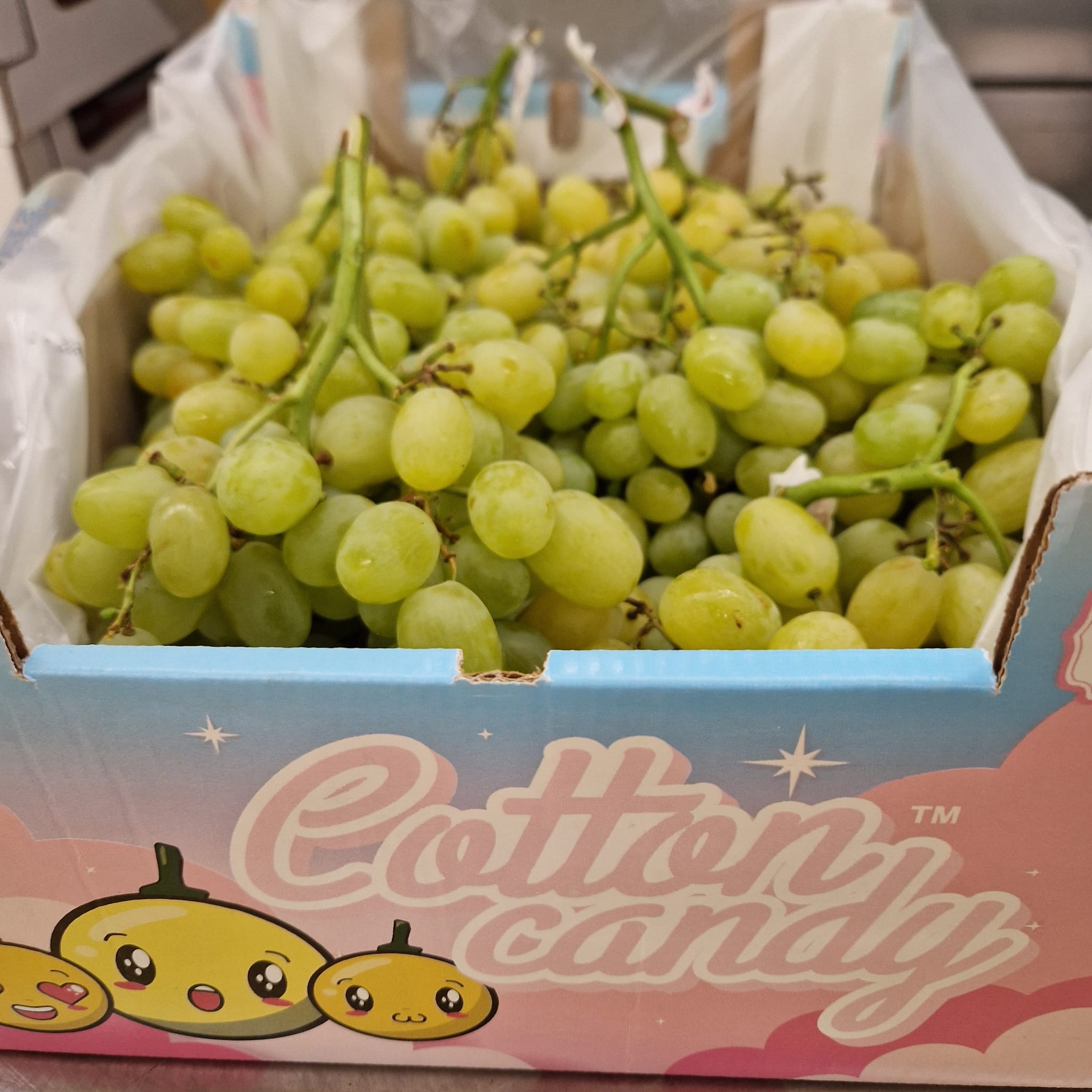 Marktbericht vom 3. September 2025 - MARINELLO + CO AG